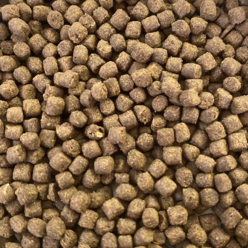 Sinking fish food 2-3mm (M)10kg